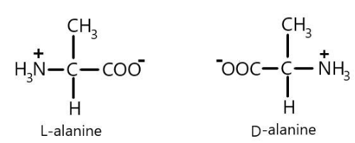 Naturally occurring amino acids have configuration class 12 chemistry CBSE