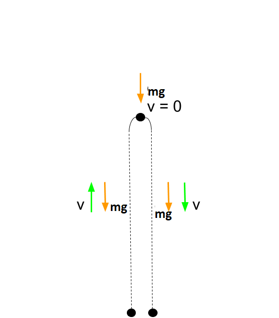 A pebble of mass 0.5g is thrown vertically upwards. Give the direction ...