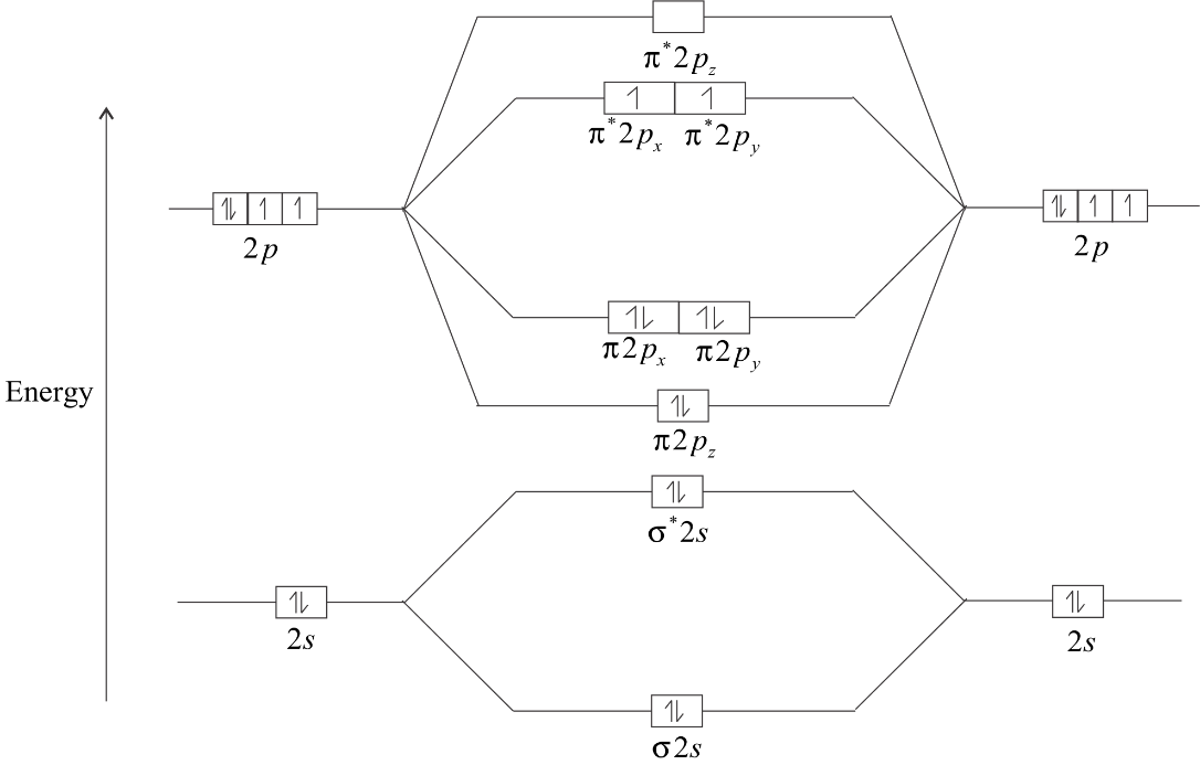 Oxygen molecule is A diamagnetic with no unpaired electrons class 11 ...