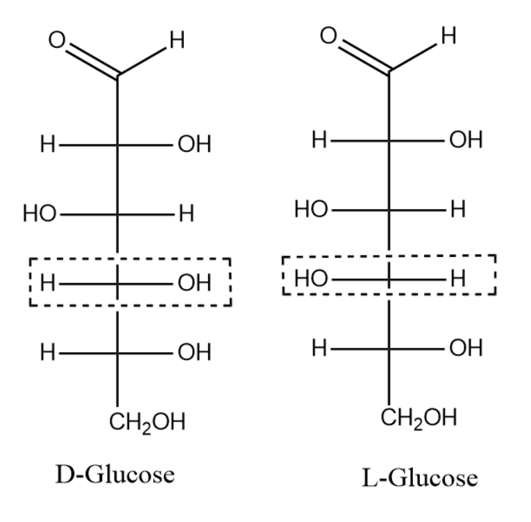 The open chain structure of glucose was proposed by (A) Lobry de bruyn-van ekenstein(B) Haworth ...