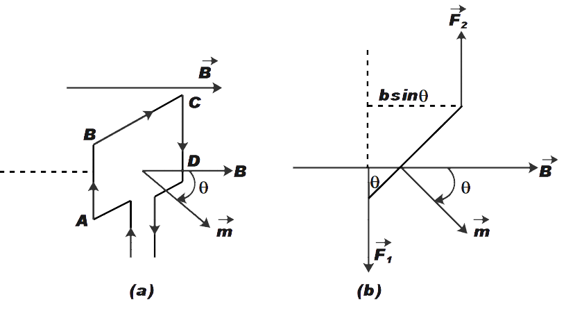 Derive equation of torque acting on rectangular current carrying coil kept in uniform magnetic ...