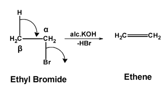 What is the action of alcoholic $\\text{ KOH }$ on ethyl bromide and 2-chlorobutane?