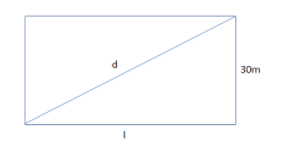 A rectangular farm has to be fenced on one long side, one short side ...