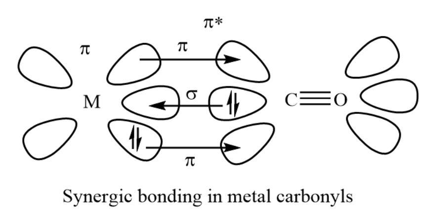 Discuss the nature of bonding in metal carbonyls class 12 chemistry CBSE