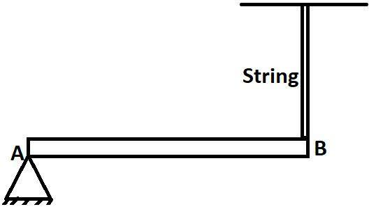 A uniform rod AB of mass 2kg is hinged at one end A. The rod is kept in the horizontal position ...