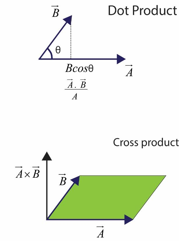 Distinguish between dot product and cross product.